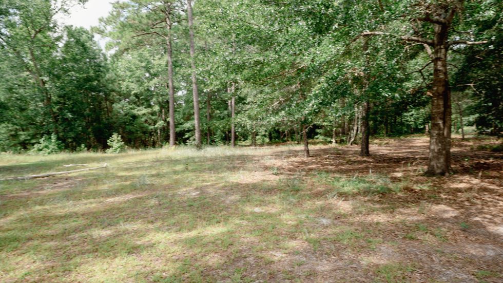 Very Private Building Lot in Ocean Ridge | Ocean Ridge Plantation Homes ...